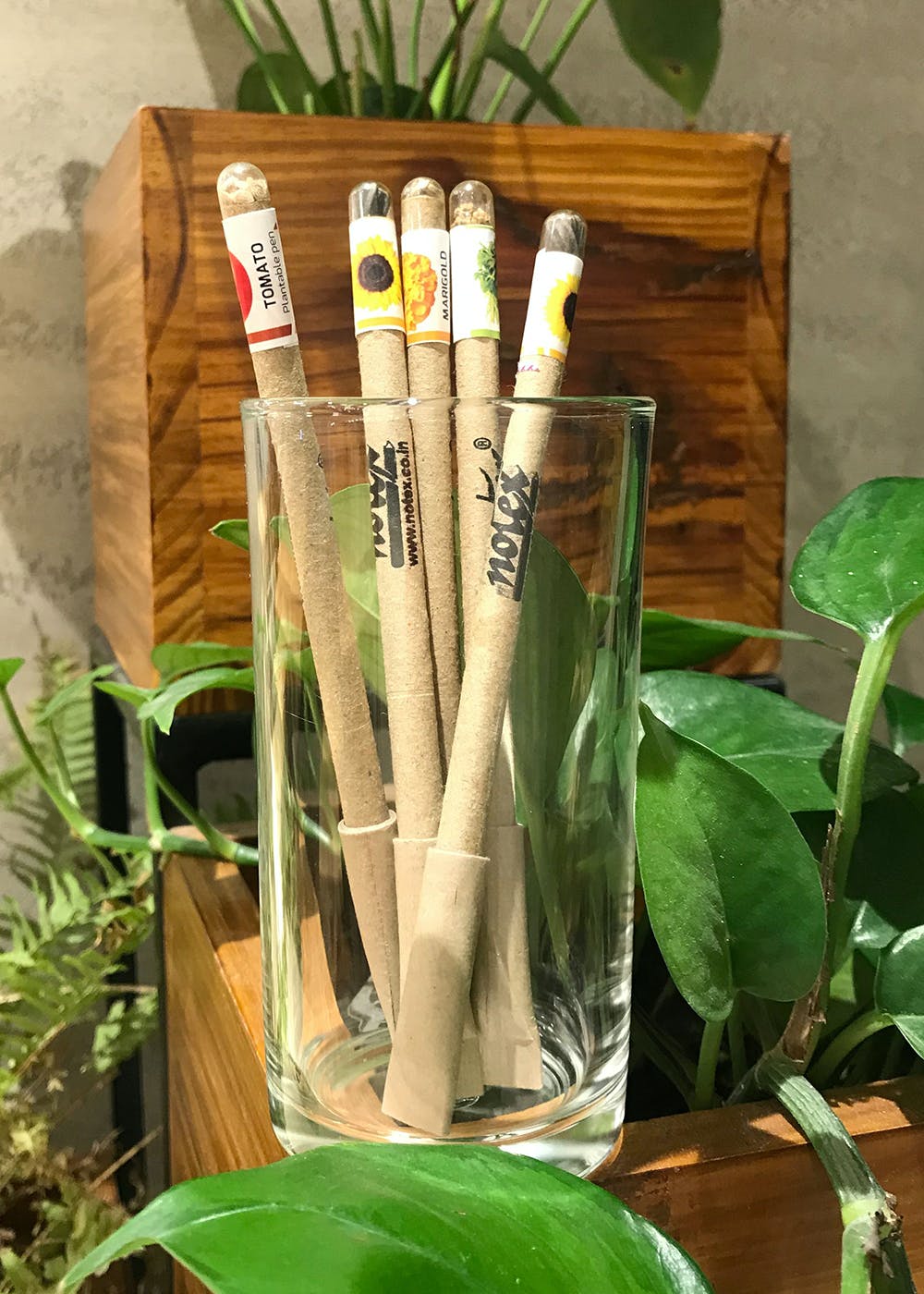 Eco-friendly Plantable Seeds Pen - Voice of Plant