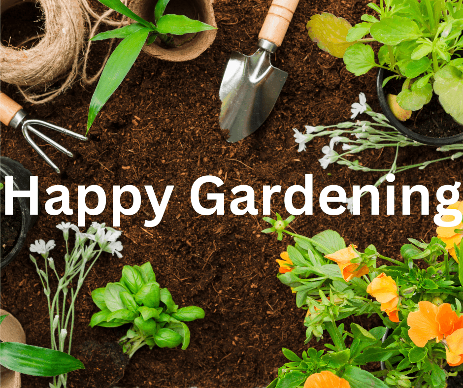 Importance of Gardening in Our Life - Voice of Plant