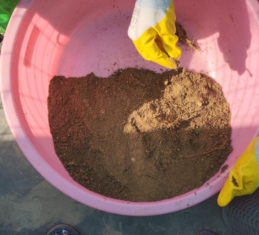 Best Soil Mixture for Rose Plants: 7 Steps to Make Perfect Soil Mix for ...