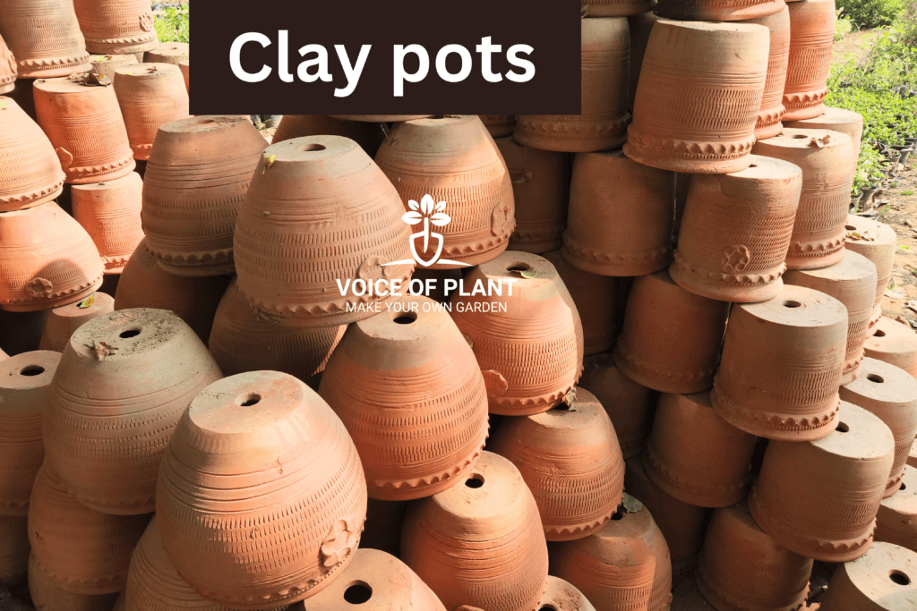 Types of Pots for Plants, What type of pots are best for plants ...