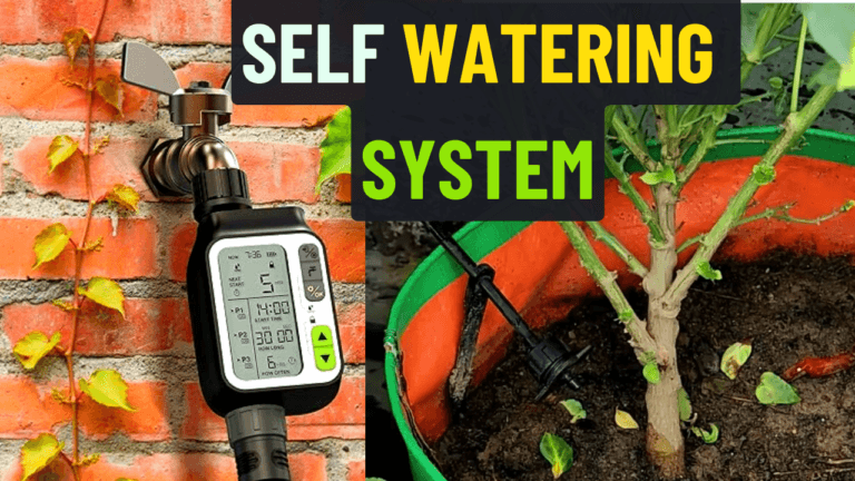 Self Watering System for Plants - Voice of Plant