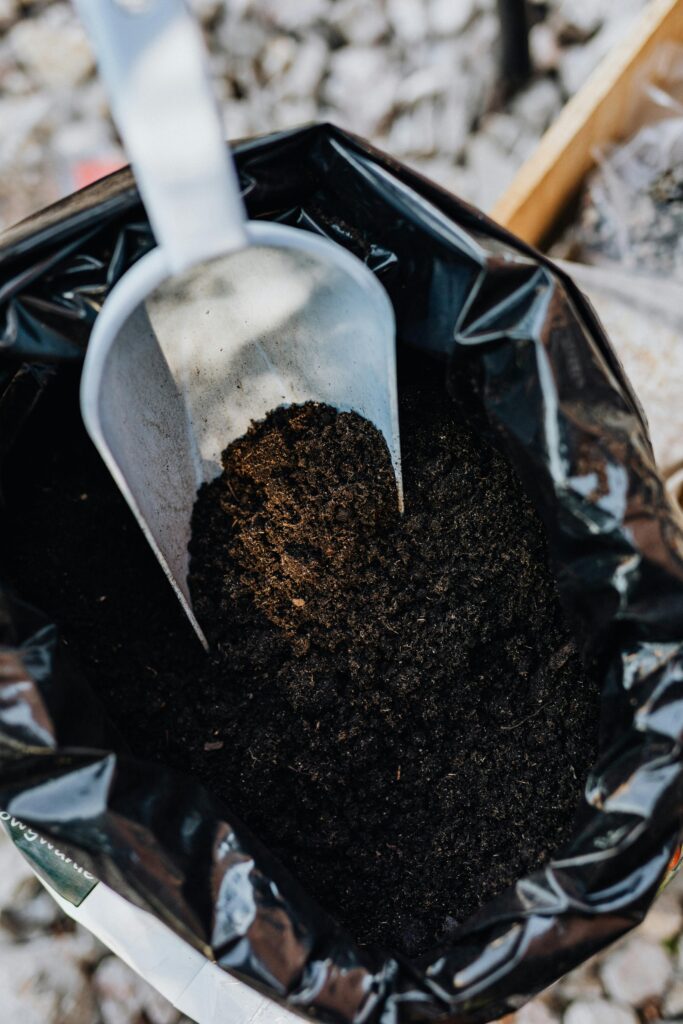 How to Make Leaf Compost at Home Know the Benefits of Leaf Compost in ...