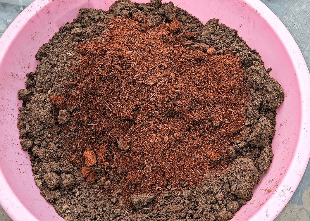 Best Soil Mixture for Rose Plants: 7 Steps to Make Perfect Soil Mix for ...