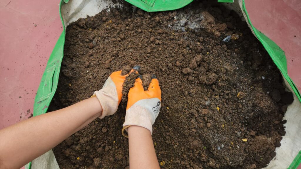 Best Soil Mixture for Winter Plants: 10 Expert Tips for Healthy Growth ...